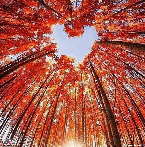 25 عکس از منظره های زیبای طبیعت که قلبتان را تسخیر می کند