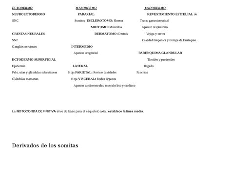 Derivados Endodermo Mesodermo Y Ectodermo Resúmenes De Anatomía Docsity