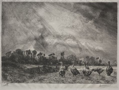 The Storm Cloud 1878 1887 Creator Félix Bracquemond French 1833