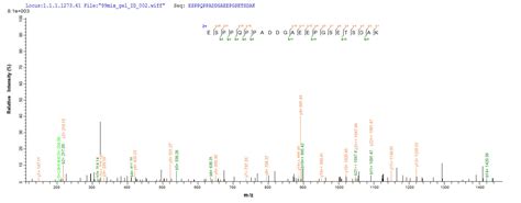 Recombinant Mouse Mapt Tau Protein Enquire Bioreagents