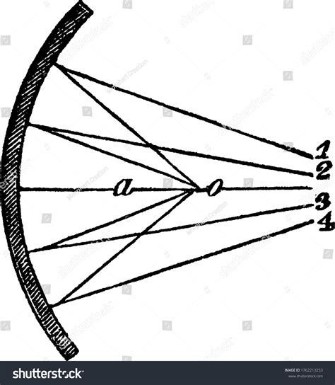 Typical Representation Diverging Rays 1 2 Stock Vector Royalty Free