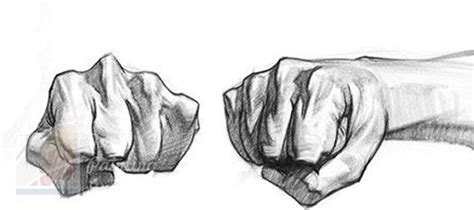 Fist Drawing Quick Guide How To Draw A Clenched Fist