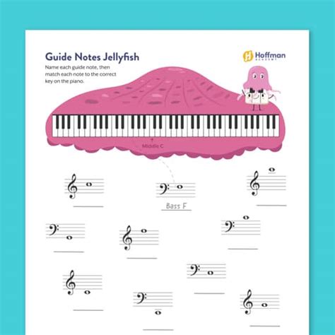 Guide Notes Jellyfish By Hoffman Academy Tpt