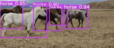 关于pytorch导出onnx格式模型的tipsopencvtracing模式