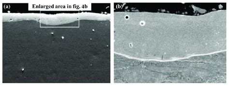 A Sem Image And B Eds Spectra Showing The Presence Of Tib2 Download Scientific Diagram
