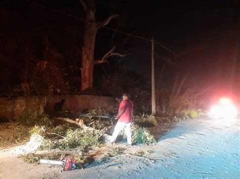 Vento Derruba Tronco De árvore No Beto Spana Tv Jaguari