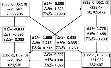 Thermodynamic Box For Titration Of Glu35 And Asp52 In Lysozyme At Ph 4