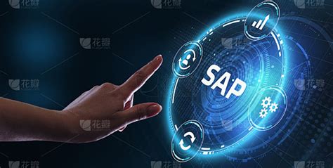 业务流程自动化软件。sap
