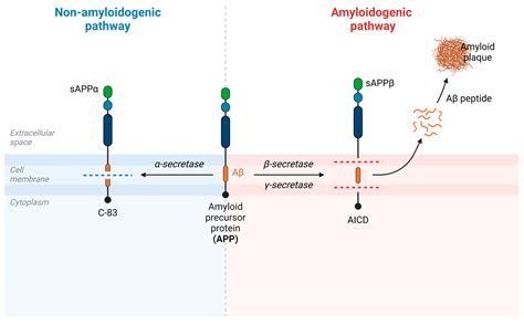 Understanding The Molecular Impact Of Physical Exercise On Alzheimers