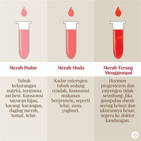 Arti Warna Darah Bekam Homecare24