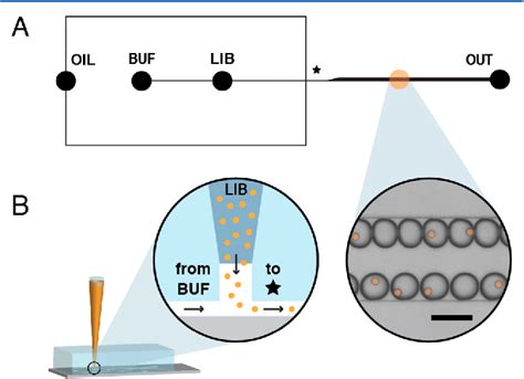 Figure 1 From Microfluidic Bead Suspension Hopper Semantic Scholar
