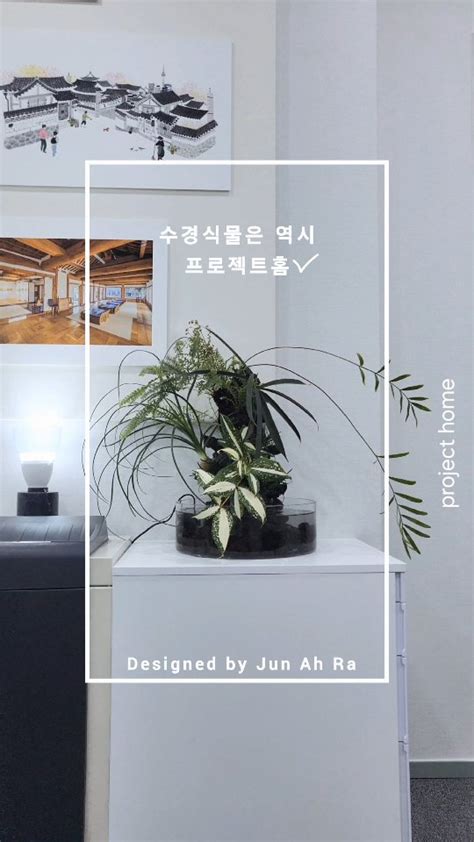 가드닝클래스프로젝트홈국내최초 수경식물전문가드닝클래스창업반실내조경기업출강단체수업 수경식물 And 실내식물 전문 가드닝