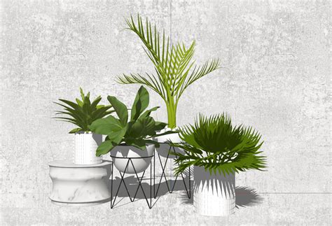 Plant Pot Sketchup Model Download Id 130000008 Sang Ye Ailing 3d