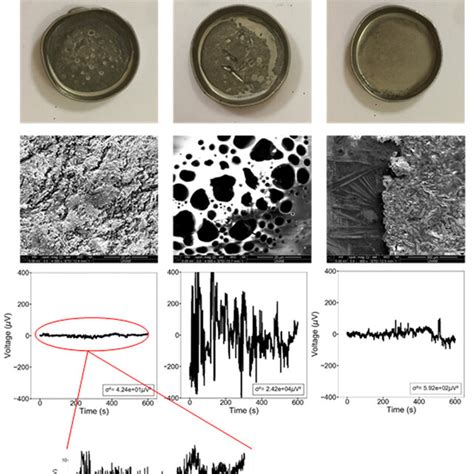 Photograph Sem Image And Noise Data Of Lithium Anode Of Discharged Download Scientific Diagram
