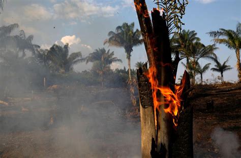 Incendies En Amazonie Comment éteint On Les Feux Géants Le Parisien