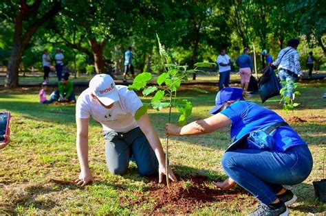 ADN realiza jornada de arborización en el Distrito Nacional DiarioHispaniola l Un digital a tu
