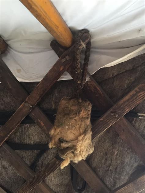 Гэрийн Mongolian Ethnographic Ger Museum Монголын Угсаатны Зүйн Гэр Музей