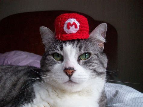 Campandcottage Crocheted Mario And Luigi Caps For Cats Super Mario