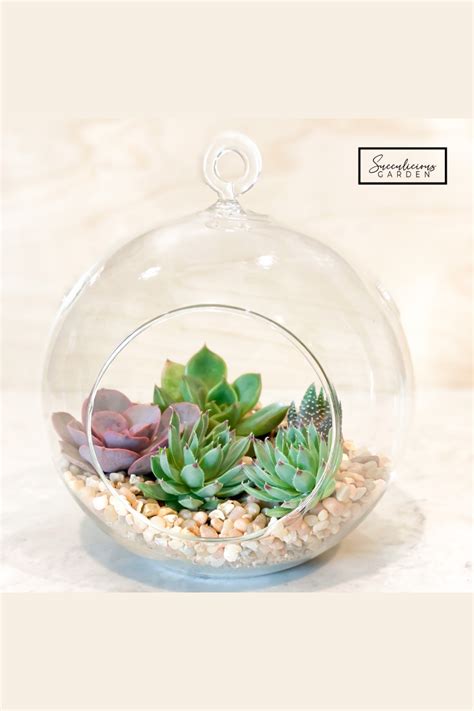 Glass Globe Succulent Terrarium