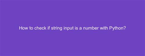 How to check if string input is a number with Python?