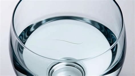 Hair Porosity Test With A Glass Of Water