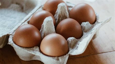 Heb Je Extra Eiwitten Nodig Als Je Fanatiek Wielrent In De Kopgroep