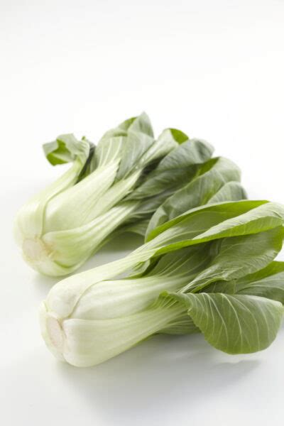 旬の野菜をおいしく食べよう！ チンゲン菜 Food Library 食の検定