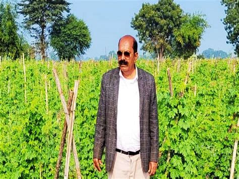 Mp Minister Interviews Crorepati Farmer Who Sold Tomatoes Worth Rs 8