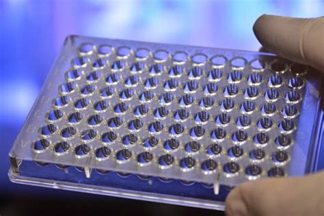 Microbiological Testing Lab Solutions By Dksh