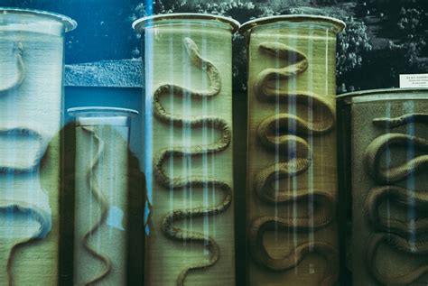 Improving Accounting For Long Term Assets In Accordance With International Standards Neliti