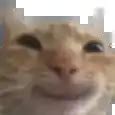 Reaction Meme S Tenor