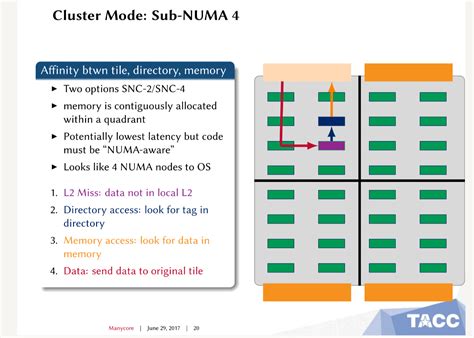 caching what s the difference between sub numa clustering and