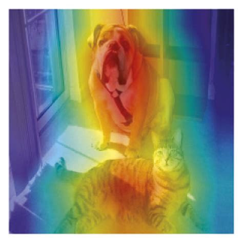 Resnet 18 Network The Feature Map Visualization Of The Highest