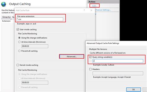 Html IIS Disallows Caching For Script Style With Query Variable