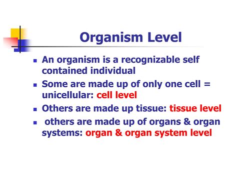 Hierarchy In Biology8 Ppthyfdtxtdrfcubcbgfutf Ppt