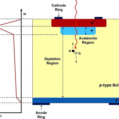 Schematic Of A Lgad Sensor Left And The Time To Digital Converter Download Scientific Diagram