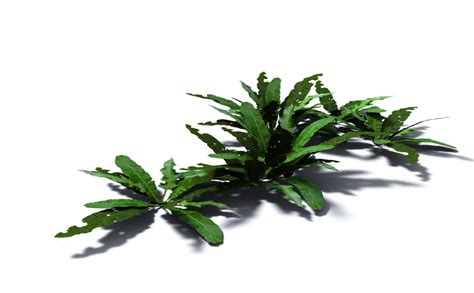 Steampunk Grass 02 By Coolzero2a On Deviantart