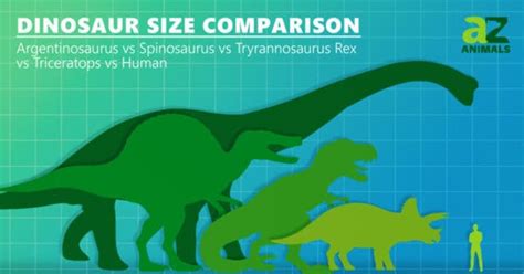 Argentinosaurus Vs Blue Whale Comparing The Size Of Two Giants A Z