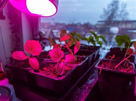 Diferencias Entre LED y LEC Elije la Mejor Iluminación