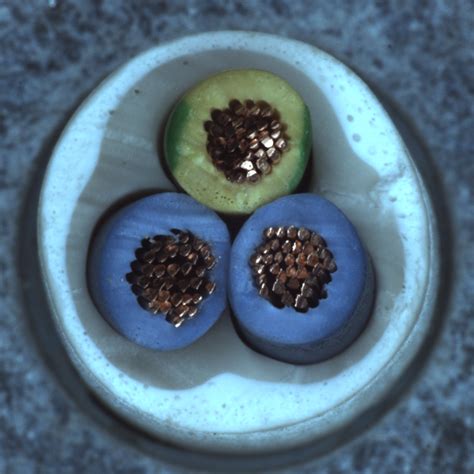 Gentlemenofsaclay Anomaly Detection Image At Main