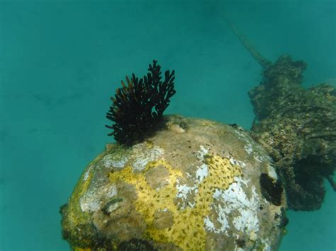 Lorena María Durán Riveroll