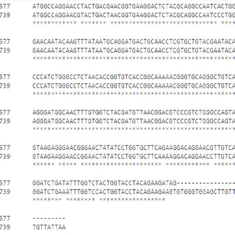 Alignment Of Isolated Complete Cdna Sequence Of Garlic Leaf Lectin Gene