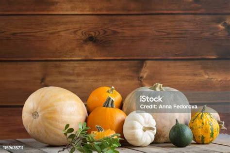 나무 배경에 호박 텍스트에 대한 공간을 복사합니다 할로윈 추수 감사절 또는 계절 가을 수평 10월에 대한 스톡 사진 및 기타 이미지 Istock