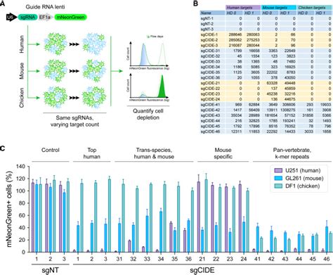 Targeting The Non Coding Genome And Temozolomide Signature Enables Crispr Mediated Glioma