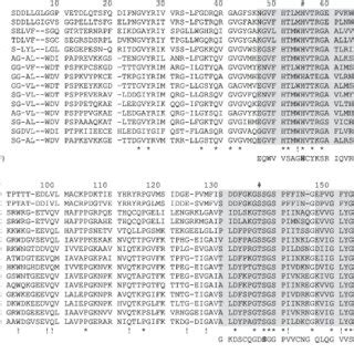 Sequence Alignment Of NS3pro Region Of Several Flaviviruses KRV