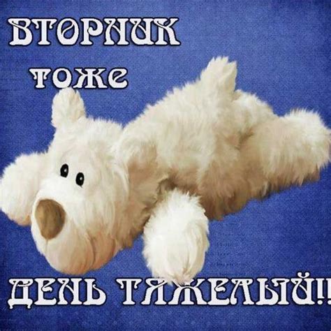Веселая картинка про вторник с надписями поздравляйте бесплатно на