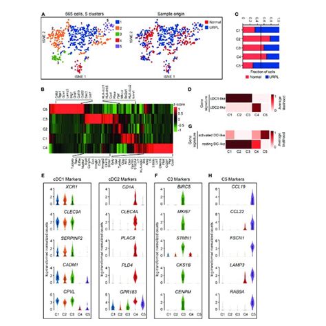 Single Cell Data Revealed Molecular Details And Subclusters Of Download Scientific Diagram