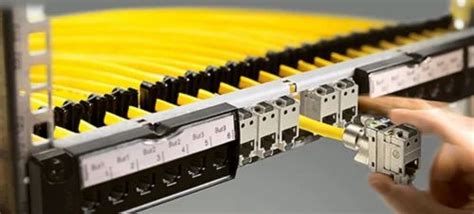 Passive Networking Service At Best Price In Kolhapur Id 2852619731833