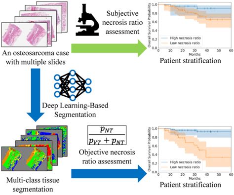 Deep Learning Based Objective And Reproducible Osteosarcoma Chemotherapy Response Assessment And