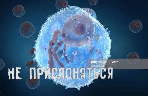 Евгения Голубева 俄罗斯 当代插画家 Artmajeur